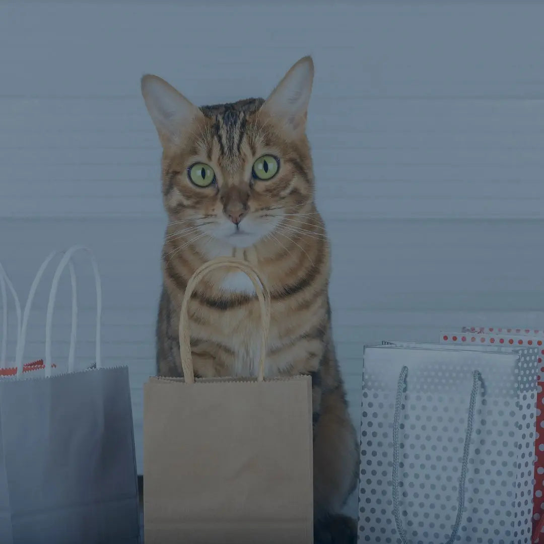 Shop Cat Products: Food, Treats, Litter, Toys & Carriers – Doog