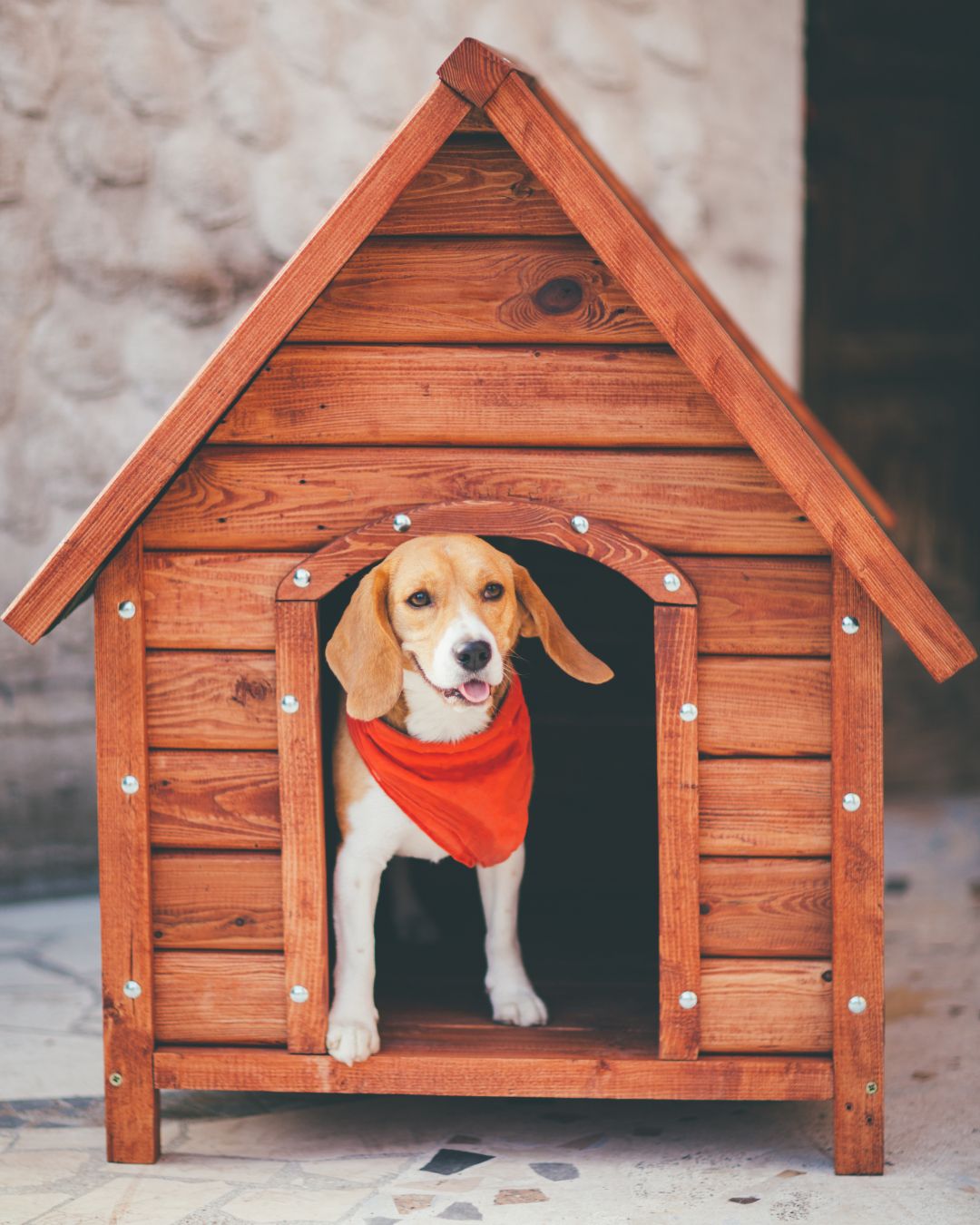 Outdoor Dog House with AC – Makeover Den for Medium Dogs (UAE Made) – Doog